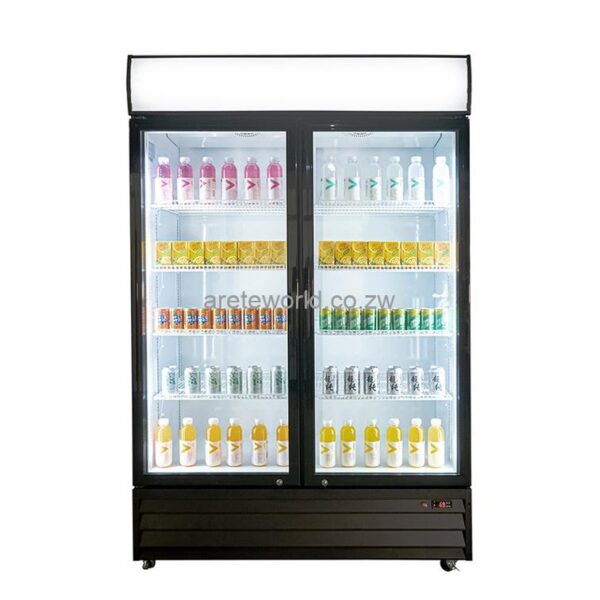 Double Door Commercial Display Chiller - Arete World